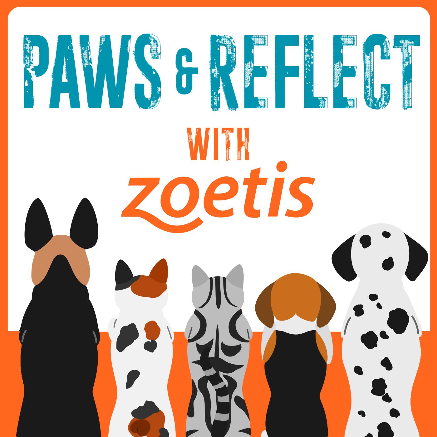 Logotipo Da Zoetis Embriones Clarifide Zoetis | Croper